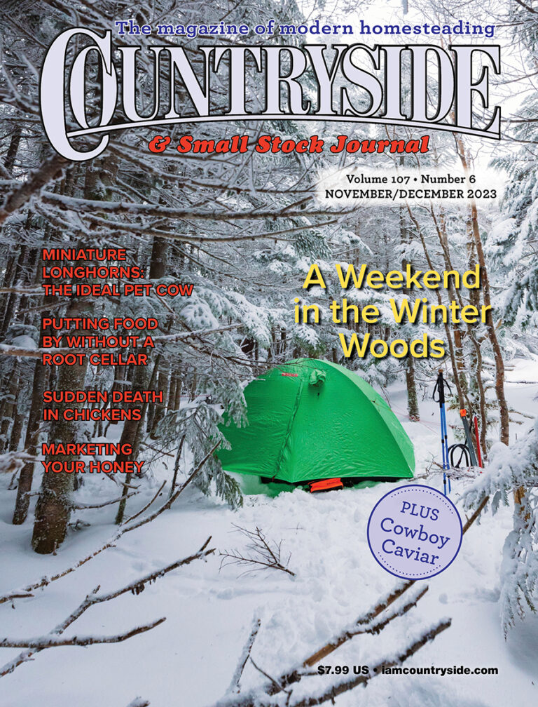 Countryside November/December 2023 - Countryside